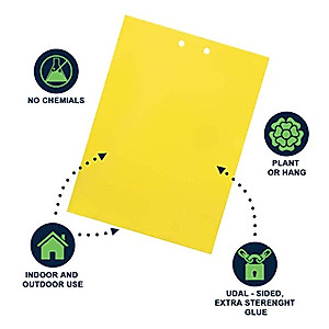 KGK Sticky Traps - 20 Pack, Dual-Sided Yellow Sticky Traps for Fungus Gnats, Aphids, and Other Flying Plant Insects - 6x8 Inches (Twist Ties and Holders Included)