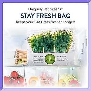 100% Certified Organic Fresh Cat Grass 3-Pack. Natural Cat Treat