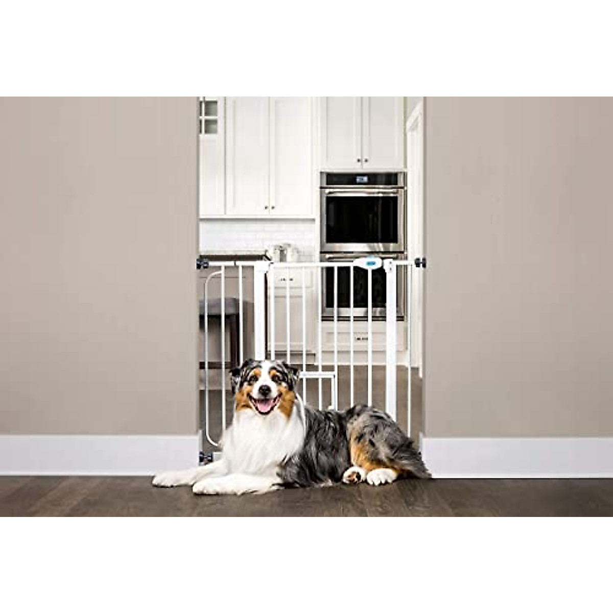 Carlson Extra Wide Walk Through Pet Gate with Small Pet Door, Includes 4-Inch Extension Kit, Pressure Mount Kit and Wall Mount Kit,White