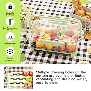 Fruit Storage Berry Keeper Container with Lid and Handle, Portable Food Storage Saver Containers with Ice Pack, for Picnic, Office, Refrigerator, Fridge, Keep Fruit, Vegetable, Meat Fresh (Green)