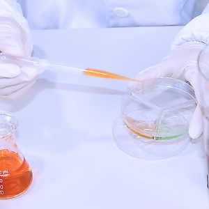 BIPEE Sterile Petri Dish, Pack of 10pcs, 90 x 15mm Petri Dishes Y-Plate (3-Section)