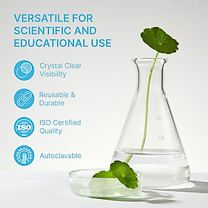 Microyn Borosilicate Glass Petri Dish with Lid, Tissue Culture Dish (60 mm, Pack of 20)