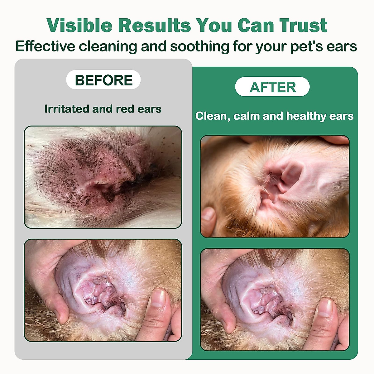 CuteBone Dog Anti-Itch Ear Flush - Cleans &amp; Removes Wax Odor, Deodorizes, Soothes Ear Inflammation for Pet - Easy Ear Wash Care Solution - Ear Cleaner 4 fl.oz &amp; 30 Cotton Swabs Kit