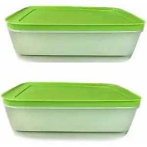 Tupperware 1L Freezermate Storage container 2 Piece GREEN Plastic Utility Container (Pack of 2, Green)