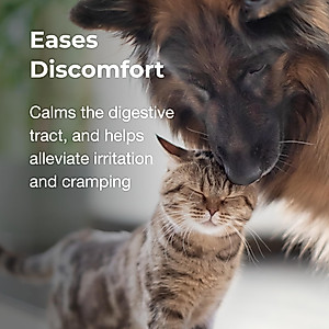 Pet-Ag Pet Pectillin Anti-Diarrheal - 4 oz, Pack of 3 - Helps Relieve Diarrhea or Loose Stool in Dogs and Cats - Replaces Lost Electrolytes - Easy to Administer