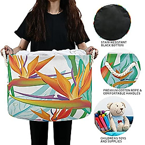 Kigai Cotton Rope Basket Birds Of Paradise Flower Collapsible Baby Laundry Basket with handles Blanket Basket Kids Toy Storage Basket for Shelf Organizer Home Decor