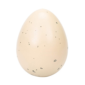 Surprise Growing Dinosaur Hatch Egg Kids Novelty Toy- Pack of 2