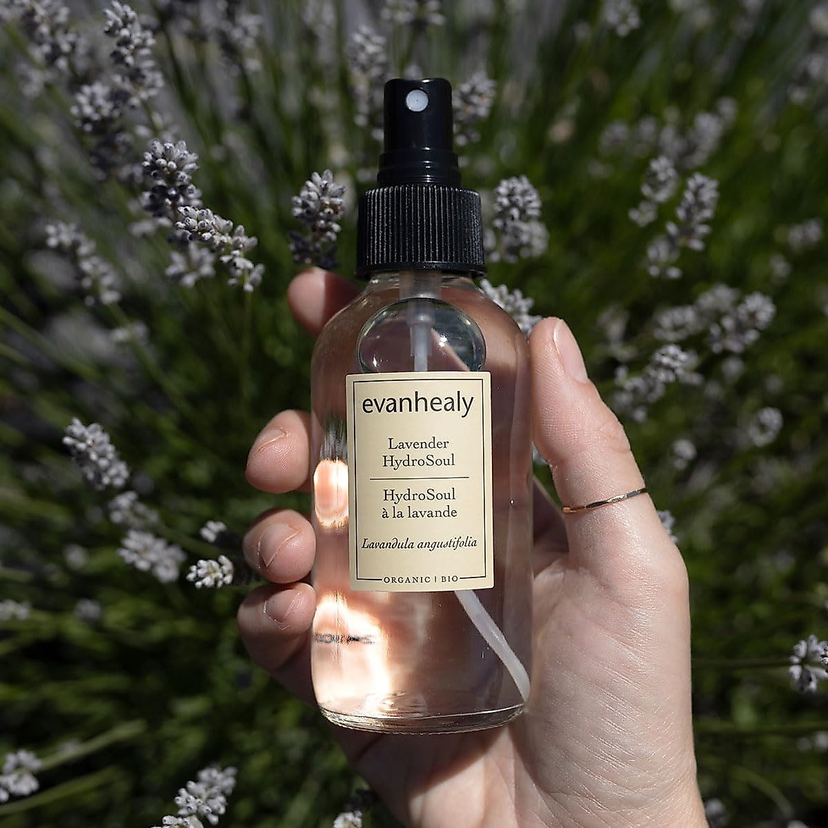 evanhealy Lavender HydroSoul | Copper Distilled Hydrosol | Calms Redness, Soothes Irritated Reactive Skin | Organic Lavender Facial Tonic | Calming Face Toner
