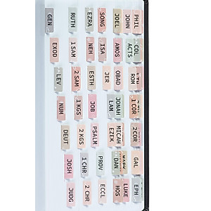DiverseBee Laminated Bible Tabs (Large Print, Easy to Apply), Bible Tabs Old and New Testament, Bible Study Journaling Supplies, Bible Accessories, Bible Index Tabs, 72 Bible Book Tabs (Petal) Medium