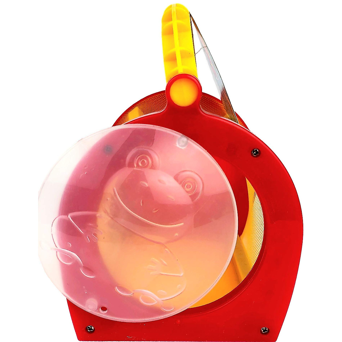 Back Yard Insect Cage Bug House with Catching Tools for Little Critters(colors may vary)