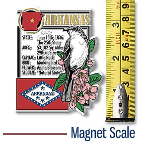 Arkansas State Montage Magnet by Classic Magnets, 2.8" x 3.4", Collectible Souvenirs Made in The USA