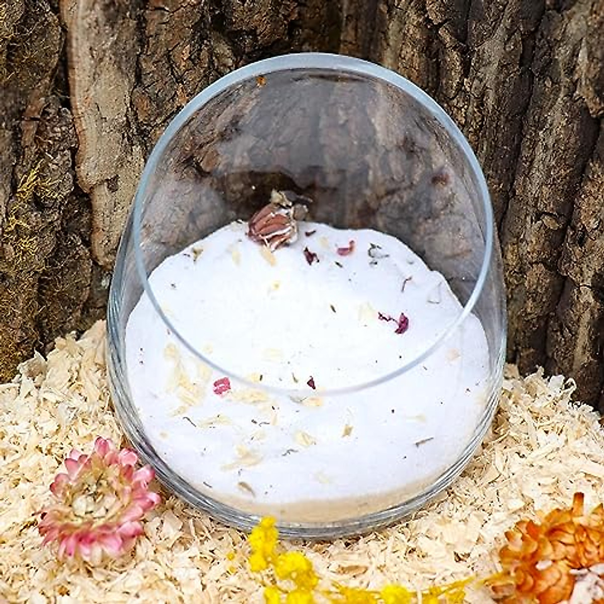Dnoifne Small Animal Sand-Bath Box, Round Glass Small Pet Sand Bath Box, Sand Bath Shower Room and Sand Bath Container for Rats Hamsters Mice Lemming Gerbils Chinchilla Guinea Pig Hedgehog