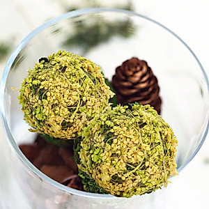 BYHER Natural Preserved Moss Hanging Ball Vase Bowl Filler for Garden, Wedding, Party Decoration (3.5"(6 Pack), Green)