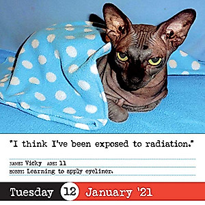 Bad Cat Page-A-Day Calendar 2021