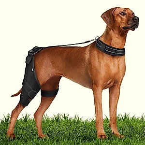 CAMRIER 2X Support Dog Knee Brace with Metal Strips for Joint Pain Relief, Dog Leg Braces for Torn Acl Hind Leg, Rear Leg Brace with Adjustable Traction Belt for Cruciate Ligament Injury, Arthritis