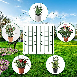 Plant Support Cages 15.7 Inches Garden Plant Support Ring Plant Stake Plant Support Tomato Cage, Perfect for Small Plants, Vegetables, Flowers, Plant Trellis for Potted Plants 2 Pack