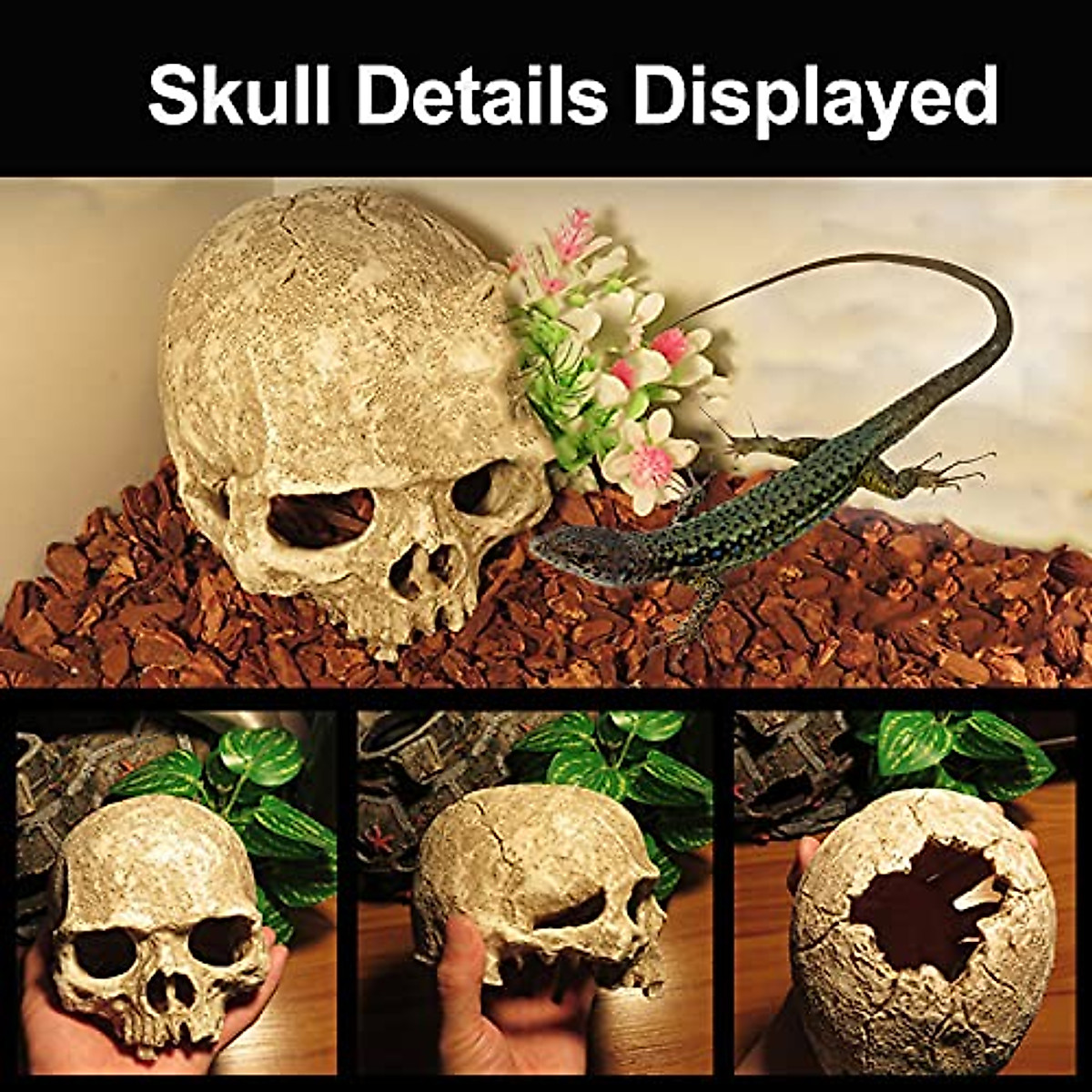 Tfwadmx Aquarium Skull Decor, Resin Fish Tank Decorations Cave Betta Fish Hiedout Reptile House for Small Fish,Shrimp