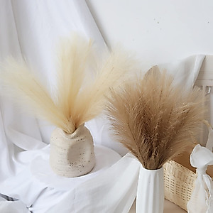 lulute 6 Stems Faux Pampas Grass,17 inch/45cm Artificial Pampas Grass,Fake Dried Pompous Grass Branches Decor for Home Kitchen Garden Party Photographing,Flower Arrangement Vase(Beige Taupe)