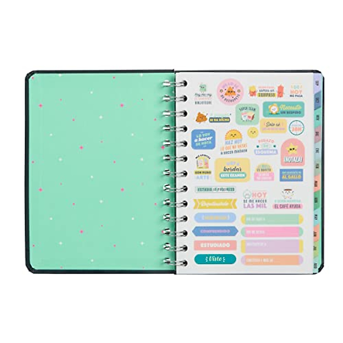 Mr. Wonderful, Wonder 2023-2024 Weekly Planner, Lots to Get and Thousand Dreams to Fulfill