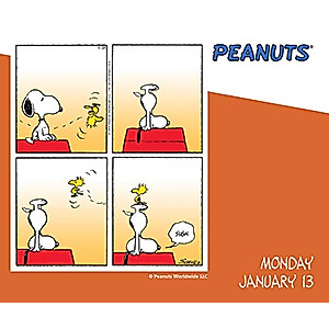 Peanuts 2020 Day-to-Day Calendar