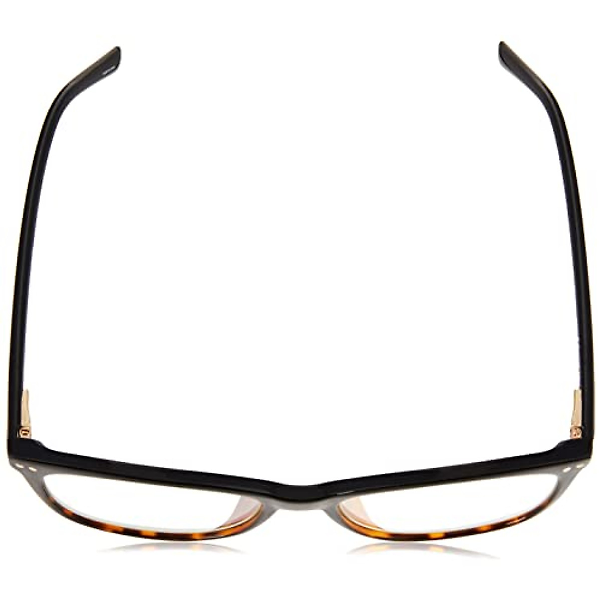 Kate Spade New York womens Kate Spade Female Optical Style Tinlee Reading Glasses, Black Havana Gold/Demo Lens, 52mm 16mm US