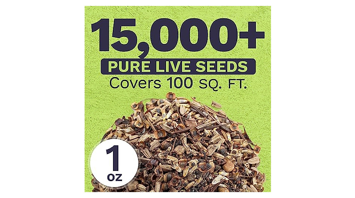 Texas Oklahoma Wildflower Seeds - 15,000 Seeds in 1 oz