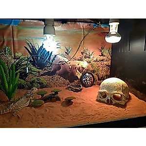 Hewnda Aquarium Decor Resin Artificial Head Skeleton Decoration - Aquarium Otaru Aquarium Decorative Cave Landscape Pet Reptile House