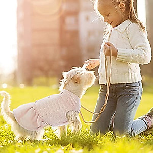 IKIPUKO Winter Dog Dress, Fleece Pet Skirt with Sequin Dog Warm Coat Girl One-Piece Heart Shape Decorate Button Winter Clothes Cute Puppy Clothes for Small Medium Dogs,L