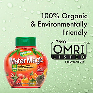 Dynamite Mater Magic - Organic Tomato Fertilizer for Bigger, Juicier Tomatoes and Vegetables, OMRI Listed, Nitrogen and Calcium-Rich Plant Food - .675 Pound Container with Shaker Lid