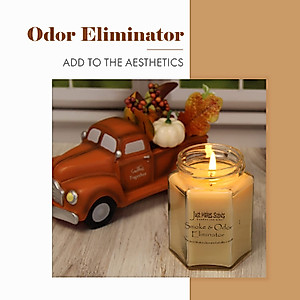 Smoke and Odor Eliminator Candle - Odor Eliminating Scented Candles for Home - Neutralizes Cigarette, Food, and Pet Smells | Natural Soy Wax Candle, Hand Poured in The USA