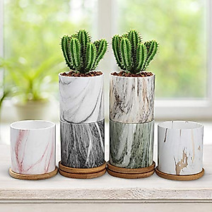 NOIRUC-CZ 6 Pack Succulent Plant Pots, 3 inch Marble Texture Mini Ceramic Planters with Drainage Hole and Bamboo Tray Small Flower Pot Modern Decor for Garden, Balcony, Office