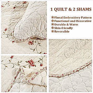 Quilt Set Classical 3D Floral Embroidery Pattern 3-Piece Cotton Reversible Quilted Embroidered Decorative Bedspreads Coverlet Bedding Set, Lightweight &Soft,Beige,King Size