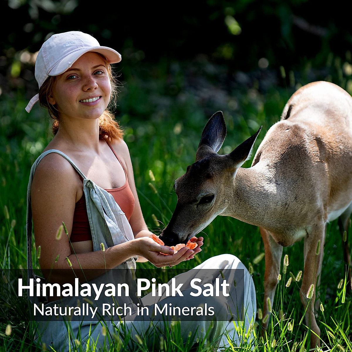 Himalayan Nature 100% Natural Solid Mineral Rock Salt - Salt Mineral Chunks animals