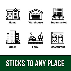 Garsum Window Fly Traps Indoors, Fly Paper Sticky Strips, Non-Toxic Clear Fly Catcher, Fly Killer for Home Window Decal 48 Traps