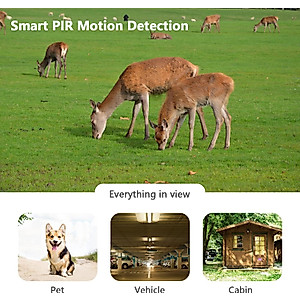 SOLIOM 3G/4G LTE Cellular Solar Security Cameras with SIM Card,Wireless Outdoor Battery Powered Camera Pan Tilt 355°View with 1080p Night Vision,No WiFi,Spotlight PIR Motion Sensor, S40