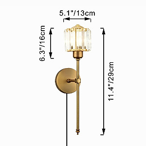 SKIVTGLAMP Industrial Wall Sconce Plug-in Cord with Remote Control, No Drilling Wall Mounted Dimmable LED Edison Bulbs Farmhouse Wall Hanging Upward for Home Decor Gallery Customizable 2 Lights