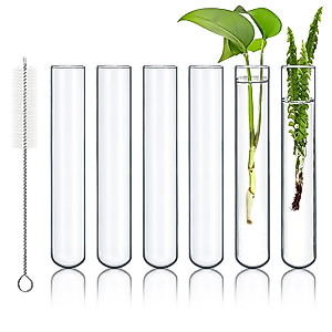 HUAOU 6pcs 100ml Large Glass Test Tube, 30x200mm Propagation Tube for Plant, 3.3 Borosilicate Clear Big Glass Test Tube Vase for Scientific Experiments Party Office Desktop Flower Decoration Wedding