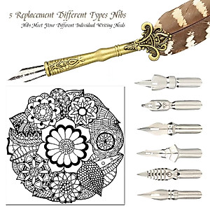 Quill Pen and Ink Set Feather Pen with Ink and 6pcs Nibs Calligraphy Pens for Beginners for Lettering,Drawing, Journaling, Signing, Invitation HO-Q-300