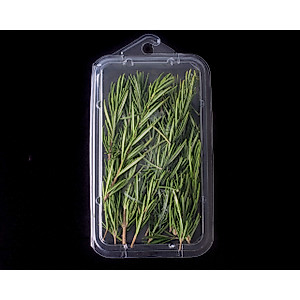 JA Kitchens .75 Ounce Small Herb Clamshell Container - Disposable - Pack of 20