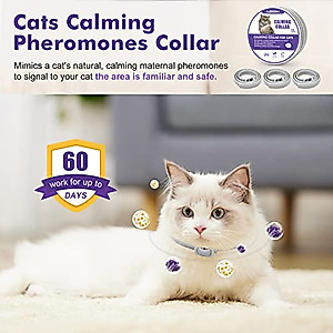 LIZCOM 6 Pack Calming Collar for Cats,Cat Calming Collar,Cat Pheromone Collar,Adjustable Calming Cat Collars for Cat Stress Anxiety Relief