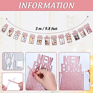 Whaline 1st Birthday Baby Photo Banner for Newborn to 12 Months, Monthly Milestone Photograph Bunting Garland, First Birthday Celebration Decoration (Rose Gold)