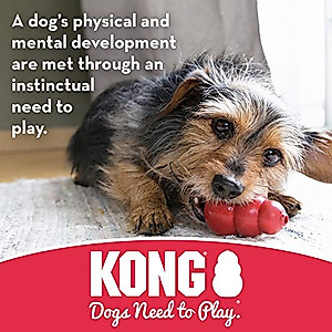 KONG - Jump'N Jack and Easy Treat Peanut Butter - Treat Dispensing Toy with Treats - for Small Dogs