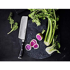 Wusthof Classic IKON Hollow Edge Nakiri, One Size, Black, Stainless