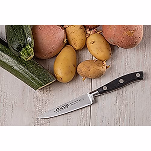ARCOS Paring Knife 4 Inch Stainless Steel. Kitchen Knife for Peeling Fruits and Vegetables. Ergonomic Polyoxymethylene Handle and 100mm Blade. Series Riviera. Color Black