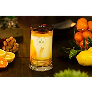 My Golden Firefly Scented Candles for Home and Spa | Citrus Punch Candle | 70+ Burning Hours, 16 Oz Large Candle | All Natural Soy Candle, Notes of Lemon Verbena, White Tea, Ginger (Citrus Punch)
