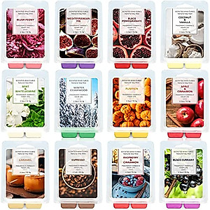Scented Wax Melts, Wax Cubes, Scented Soy Wax Melts for Wax Warmer, 12 x 2.5 oz, 12 Home Fragrance Scents