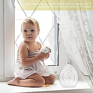 PATKAW Hamster Cages Hamster Cages Chinchilla Cage Glass Hamster House Glass Hamster Hamster Bed House Summer Hamster Hideout Clear Small Animal Hamster Cages Chinchilla Cage Chinchilla Cage