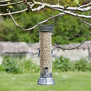 Desert Valley Premium Sunflower Seed Hearts and Chips - Wild Bird Food, Cardinals, Jays & More (10-Pounds)