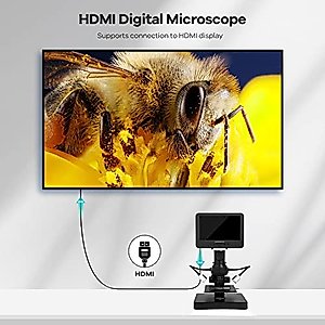 Andonstar AD246S-P HDMI Digital Microscope with 7'' Screen, 4000x 3 Lens 2160P UHD Video Record, Coin Microscope for Error Coins, Biological Microscope Kit for Adults and Kids, Prepred Slides