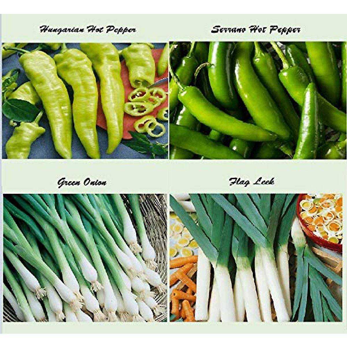 Set of 16 Assorted Organic Vegetable Seeds & Herb Seeds for Planting 16 Varieties Create a Deluxe Garden Heirloom, 100% Non-GMO Sweet Pepper Seeds, Hot Pepper Seeds-Red Onion Seeds- Green Onion Seeds